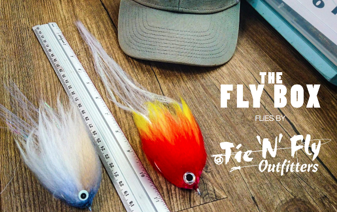 T 'N F / C SALT FLIES – Headwaters Art and Fly Shop