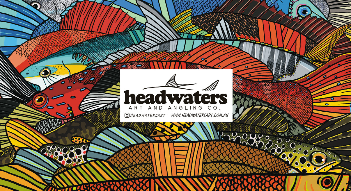 Stubby Coolers - Signature Fish Series – Headwaters Art and Fly Shop