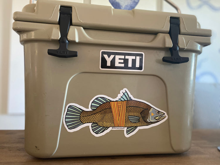 Murray Cod Decals – Headwaters Art and Fly Shop